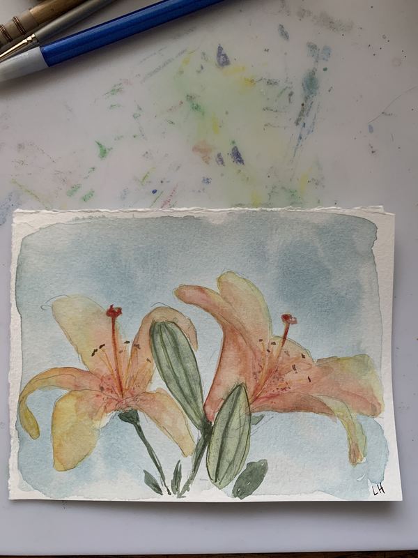 Lily H.